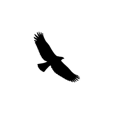 Bird Vinyl Decal Sticker V5 DecalsHouse
