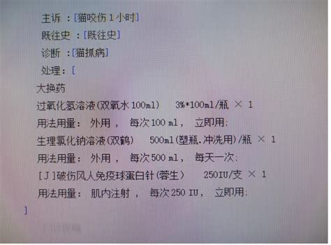 注意宠物卫生，预防猫抓病的发生