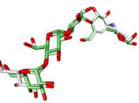 3d Visualizations Of The Superimposed Pose Of The Original Gray And