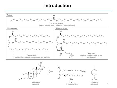 Solution Organic Chemistry Lecture 10 Lipid Studypool