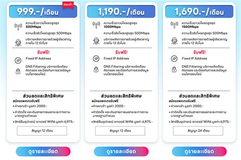 โปรโมชั่น Fixed Ip Address Dns Filtering บริการแจ้งเตือนและป้องกันการจารกรรมข้อมูล