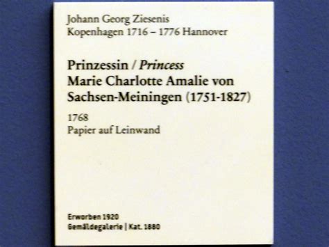 Prinzessin Marie Charlotte Amalie Von Sachsen Meiningen 1751 1827