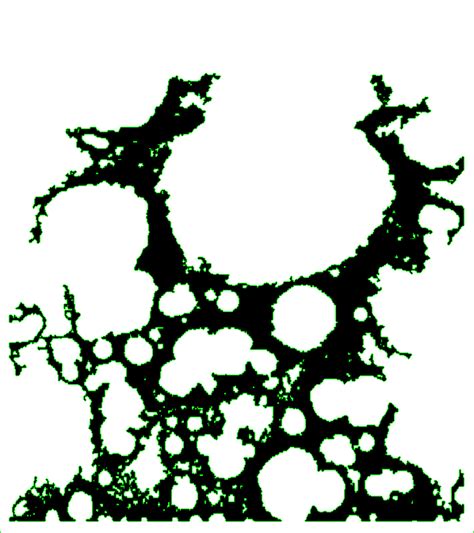 Image Create Mask From Bwtraceboundary In Matlab