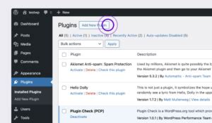 WordPress Plugin Webvizio