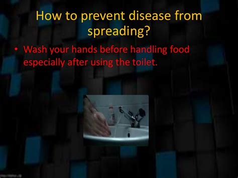 Microorganism Ppt
