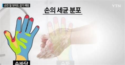 올바른 손씻기 방법 손 가운데 의외로 가장 더러운 부분은 셀프백신 손 씻기 제대로