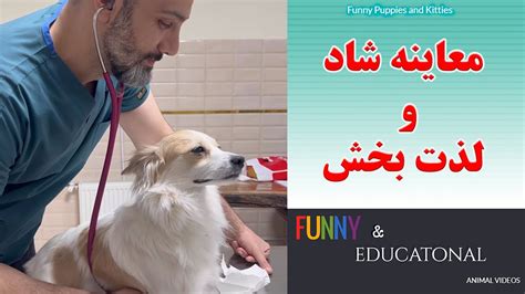 سوژه کردن این بچه جذاب 😂😅 Youtube