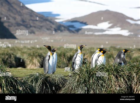 Find File Linux Recursive Imaginative Minds