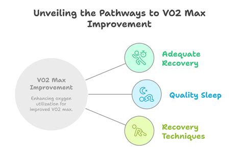 How to Improve VO2 Max Quickly And Effectively [Definitive Guide] - RxFit