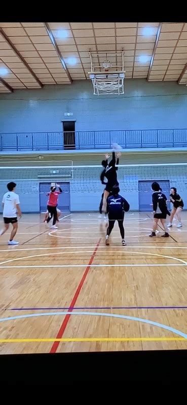 新規メンバー募集中！東京のバレーボールチーム「庭【混合バレー6人制】」｜スポーツやろうよ！