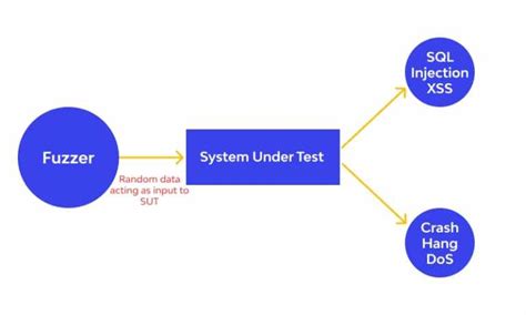 What Is Fuzz Testing What Is It Used To Test For — Web Application