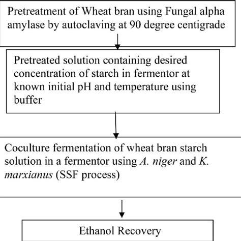 Flowsheet For Ssf Process Used In Ethanol Production From Wheat Bran