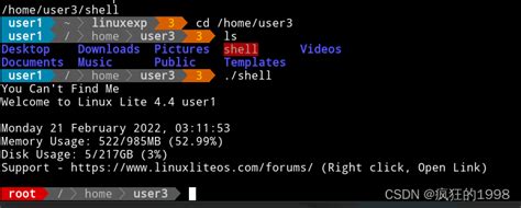 渗透时linux系统该如何提权？ 渗透测试linux提权 csdn博客