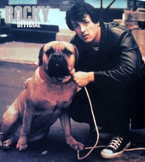 Butkus Rocky Balboa Poster Rocky Balboa Rocky Stallone