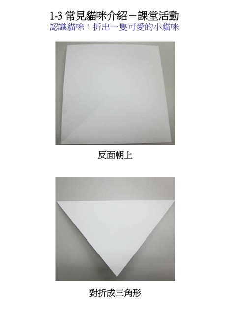 Ppt 1 2 貓咪的習性與特徵－課堂活動 認識貓咪：指出貓咪的各個部位 Powerpoint Presentation Id5972576