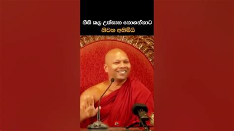 නිසි කළ උත්සාහ නොගන්නාට නිවන අහිමියි පූජ්‍ය හඳපාන්ගොඩ නිවාතාප හිමි ජේතවනාරාම විහාරය පහුර