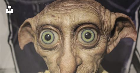 갈색 모자를 쓴 흰 셔츠를 입은 남자 사진 Unsplash의 무료 작은 입상 이미지