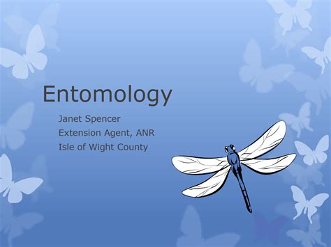 What Is A Famous Case That Utilized Forensic Entomology