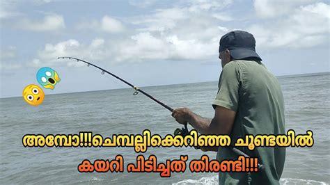 ചെമ്പല്ലിക്കെറിഞ്ഞ ചൂണ്ടയിൽ തിരണ്ടി കയറി പിടിച്ചപ്പോൾ😳😱kerala Fishing