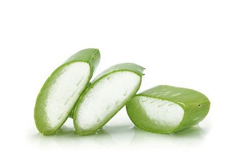 알로에 베라는 흰색 배경에 얇게 썬 분리물을 남깁니다 가시에 대한 스톡 사진 및 기타 이미지 가시 건강관리와 의술 건강한