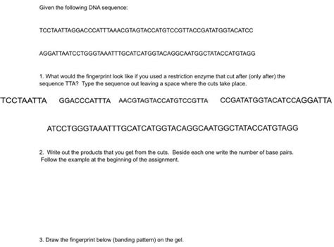 Solved Given The Following Dna Sequence
