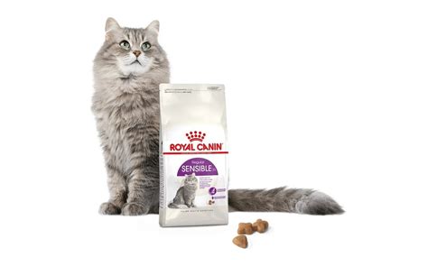 Royal Canin - Sensible 33 - Cat Food - Buy Online SPR Centre UK
