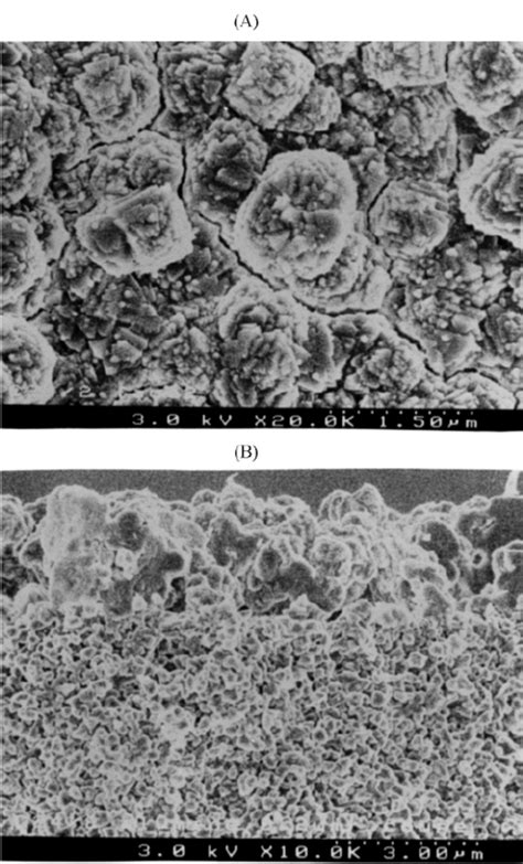 Sem Micrographs Of The Top Surface A And Cross Section B Of Sample 9 Download Scientific