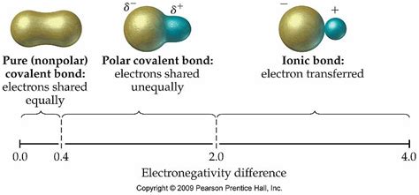 Eindterm 13 1 13 2 En 13 3 Het Verschil In Elektronegativiteit