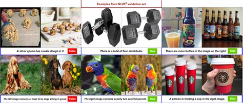 Figure G2 Examples On Visual Reasoning From Nlvr 2 Validation Download Scientific Diagram
