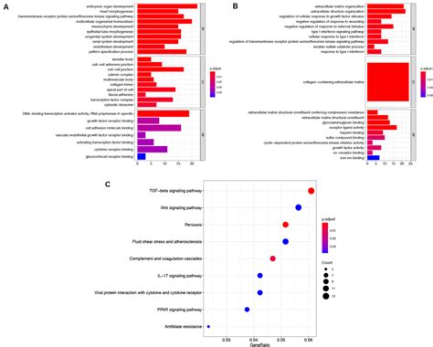 Functional Enrichment Analysis Of Robust Degs Go Enrichment Analyses