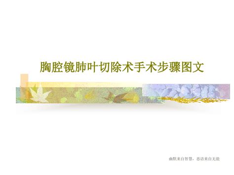 胸腔镜肺叶切除术手术步骤图文共34页 文档之家