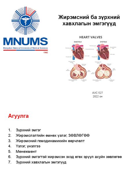 Жирэмсний ба зүрхний хавхлагын эмгэгүүд Pdf