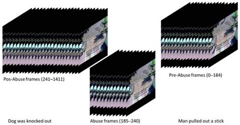 Sensors Special Issue Nature Inspired Algorithms For Sensor Networks And Image Processing