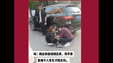 遛狗不牵绳子，被撞了，怪谁去？ Youtube