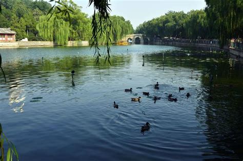 北京北海公園中國古代皇家園林 每日頭條
