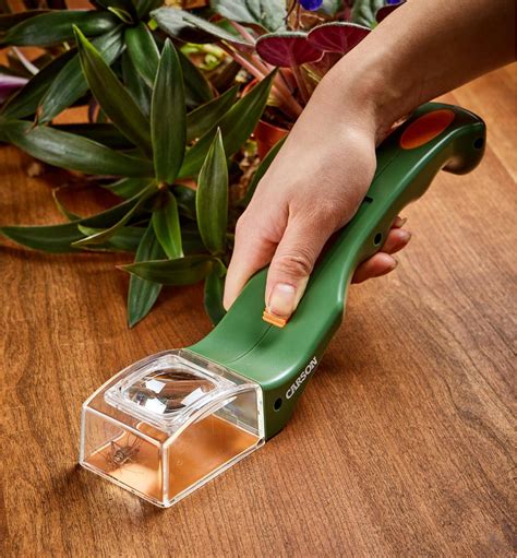 Bug Magnifier Lee Valley Tools