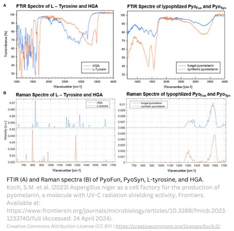 Raman Spectroscopy And Microscopy Fastest Cro Tracer