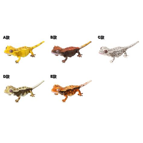 【mm小舖】『現貨』 Bandai 轉蛋 扭蛋 生物大圖鑑 守宮篇 01 爬蟲類 守宮 圖鑑 全5款 蝦皮購物