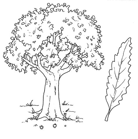 Midisegni It Disegni Da Colorare Per Bambini Disegni Da Colorare
