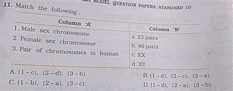 2 MODEL QUESTION PAPERS STANDARD 10 11 Match The Following Column A 1 Male Sex Chromosome 2