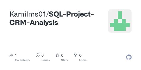 Github Kamilms01sql Project Crm Analysis
