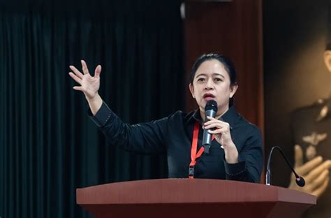 Profil Puan Maharani Kandidat Ketum PDIP Cucu Bung Karno Bacaini Id