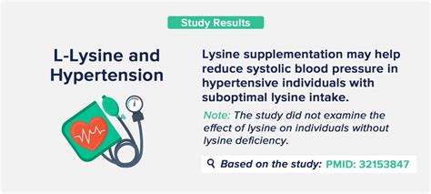 L Lysine Benefits From Anxiety To Muscle Growth The Nutrition Insider