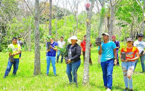 Avances de la Campaña Nacional de Reforestación Verde que te Quiero
