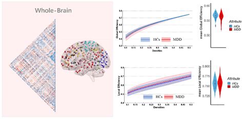 Global And Local Efficiency Of The Whole Brain Functional Connectome Download Scientific