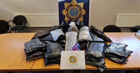 Woman Arrested After Cannabis Worth €500000 Seized In Kildare Dublin