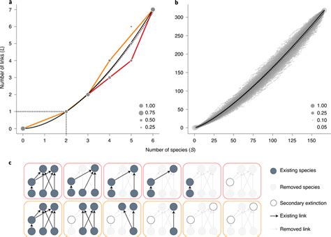 the network specific link species relationship in two empirical