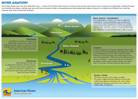 River Ecosystem 101 Florida Defenders Of The Environment