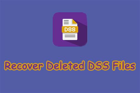 Definitive Guide Recover Deleted DSS Files On Windows Mac