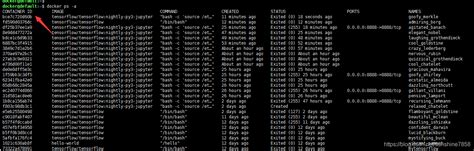 Docker下给jupyter设置固定密码docker Jupyter Password Csdn博客